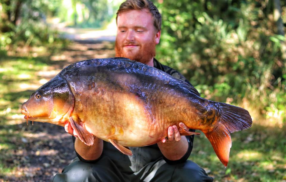 PB Mirror | Total Carp
